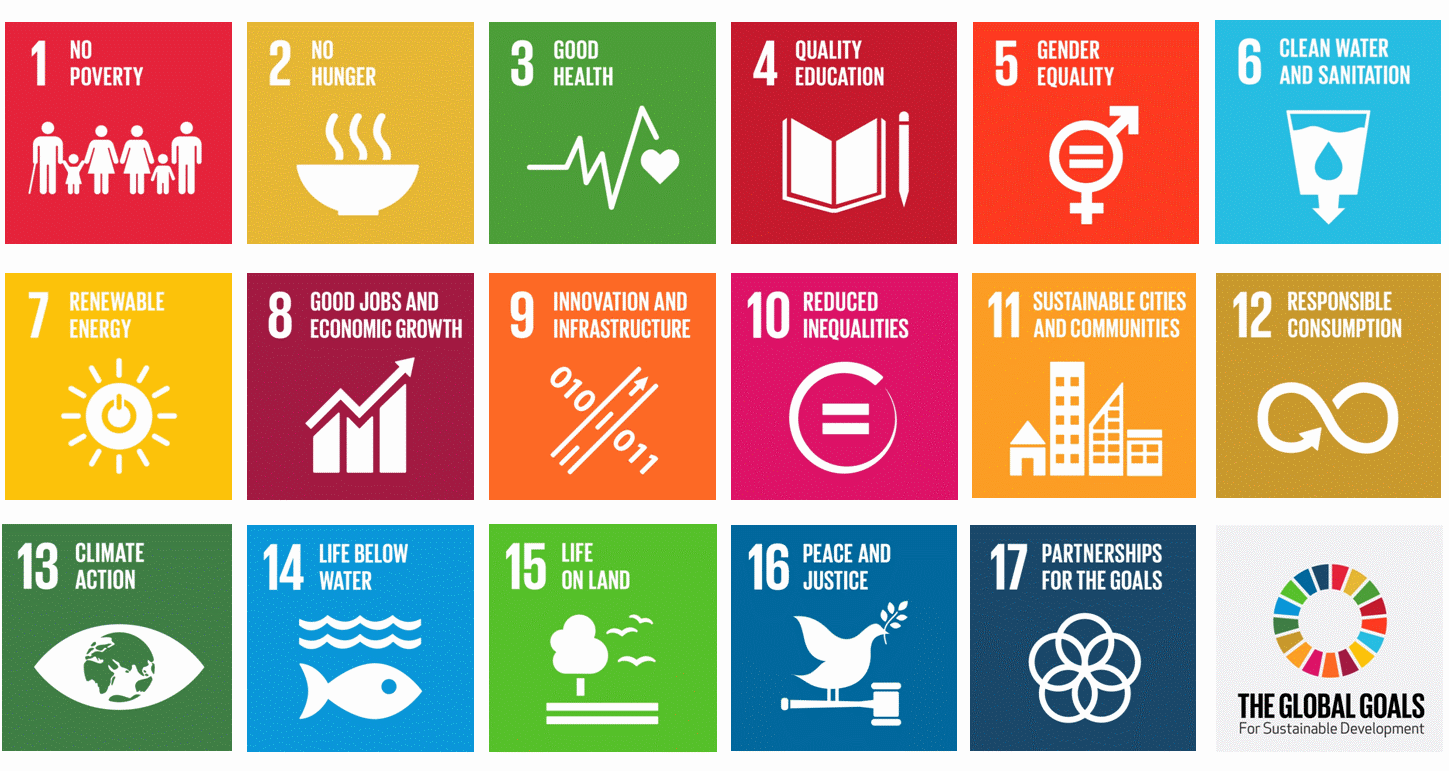 performance improvement and global goals